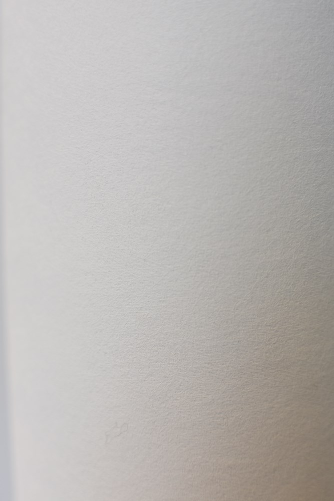 EXPERT WALL G5080PG VLIES 50 MTR | Habeco - Verf voor vakmensen